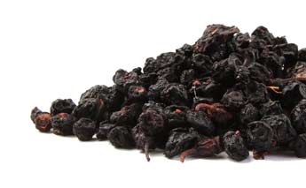 Bilberry Fruit 20g – Hauraki Home Brew