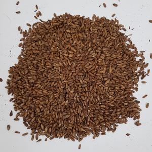 Gladfield Crystal Rye Malt (Milled) – Hauraki Home Brew