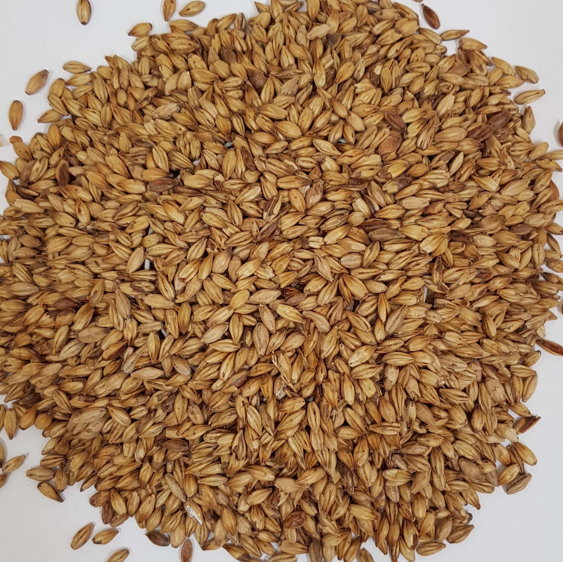 Beer - Grains Malted Barley (MILLED) – Hauraki Home Brew