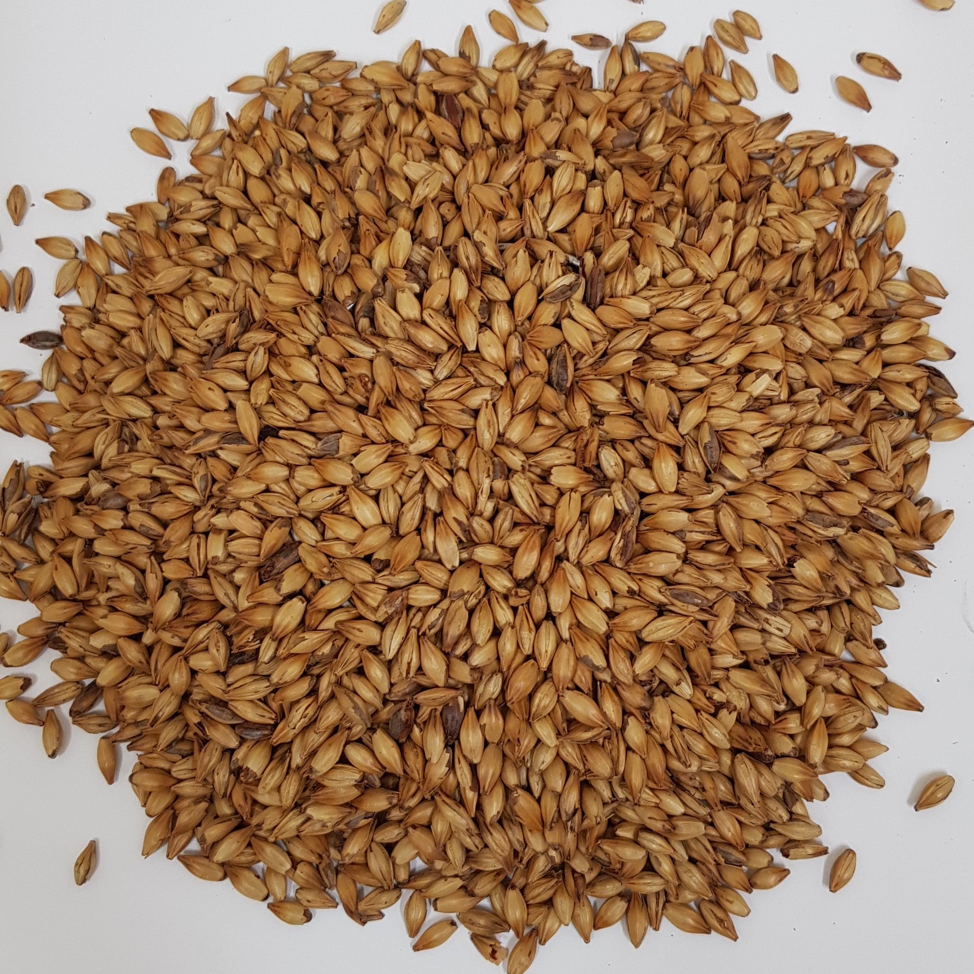 Beer - Grains Malted Barley (MILLED) – Hauraki Home Brew